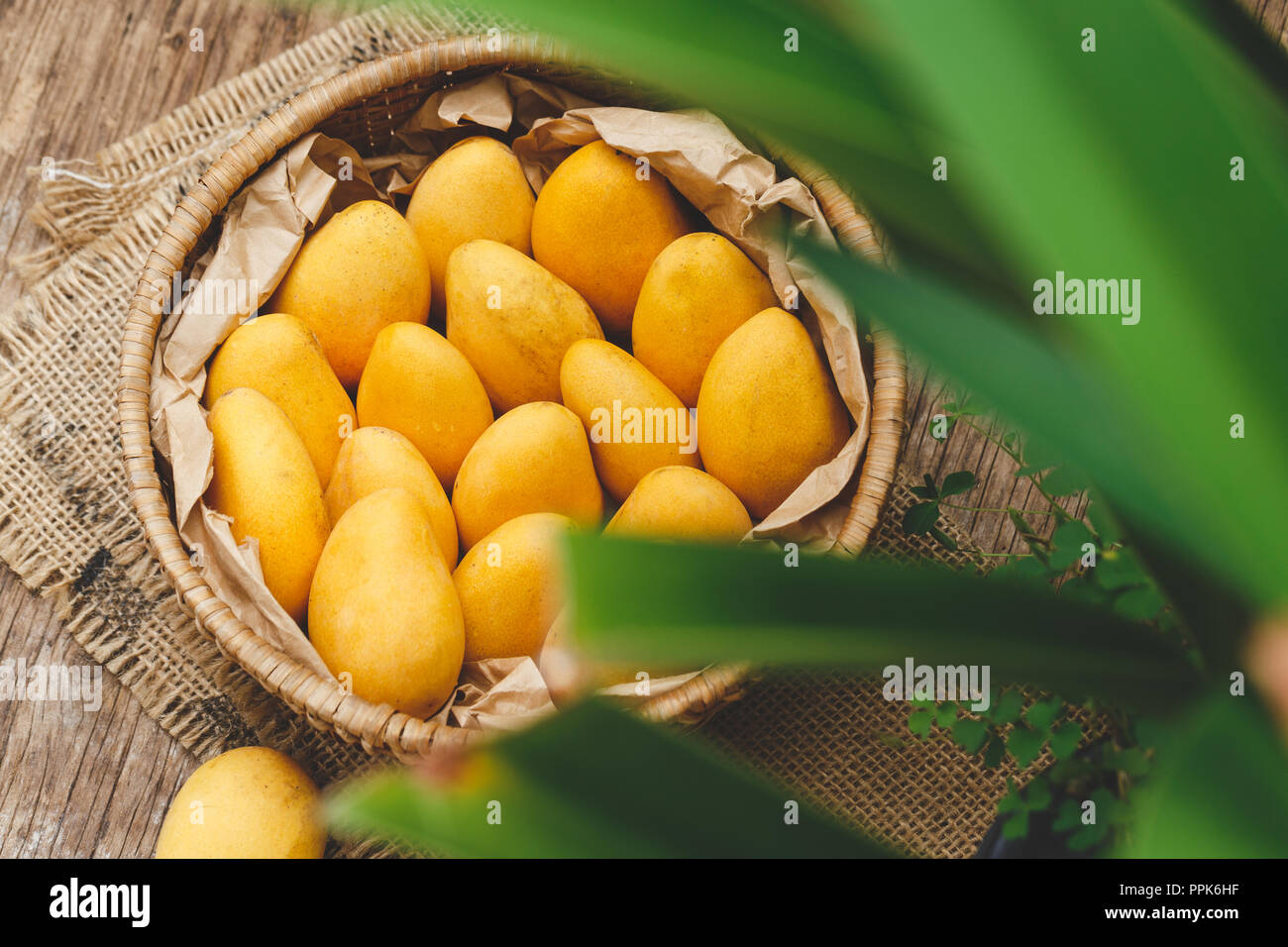 Vietnamese fruit green mango cut hi-res stock photography and images ...