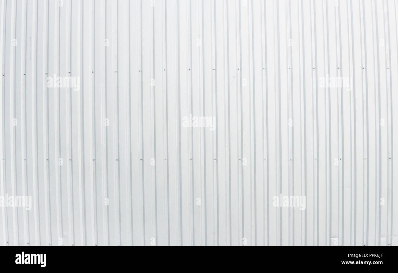 Metal white sheet for industrial building and construction. Roof sheet ...