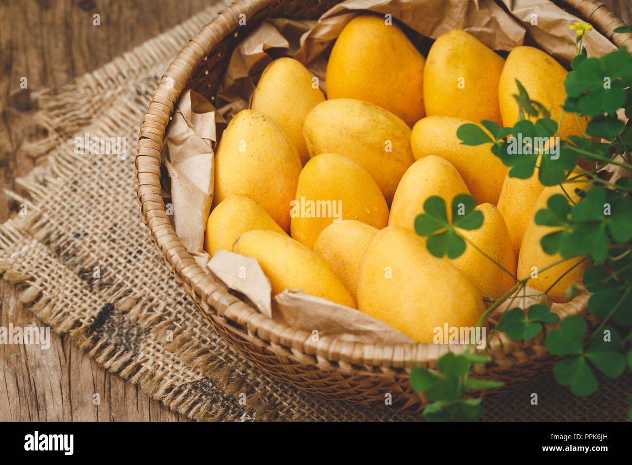 Little mango hi-res stock photography and images - Alamy