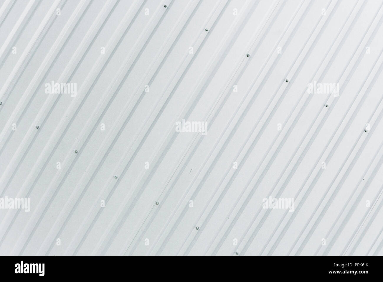 Metal white sheet for industrial building and construction. Roof sheet ...