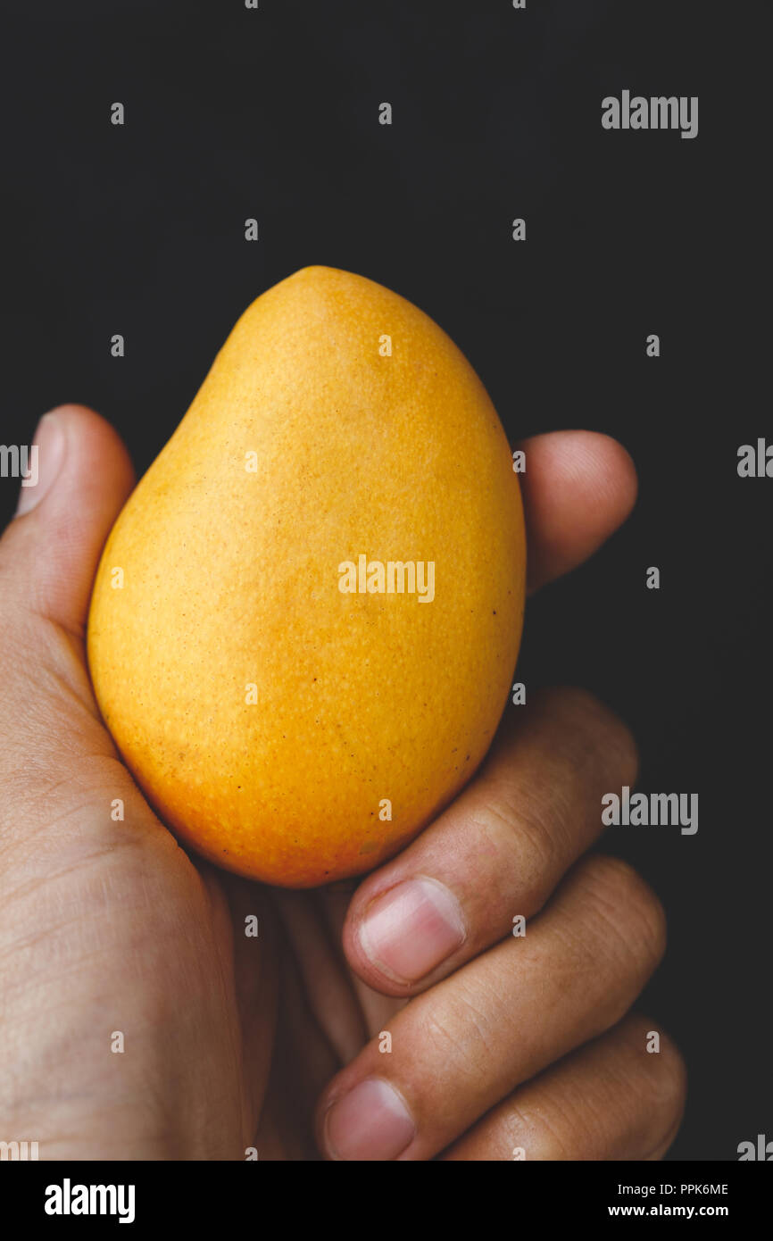 Vietnamese fruit green mango cut hi-res stock photography and images ...