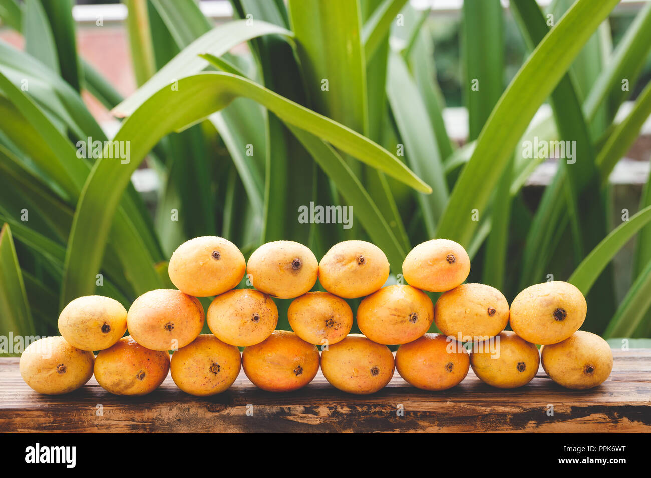 Vietnamese fruit green mango cut hi-res stock photography and images ...