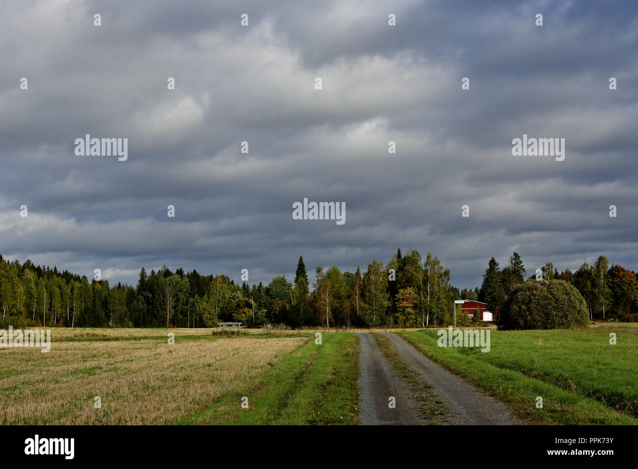 Steely sky hi-res stock photography and images - Alamy
