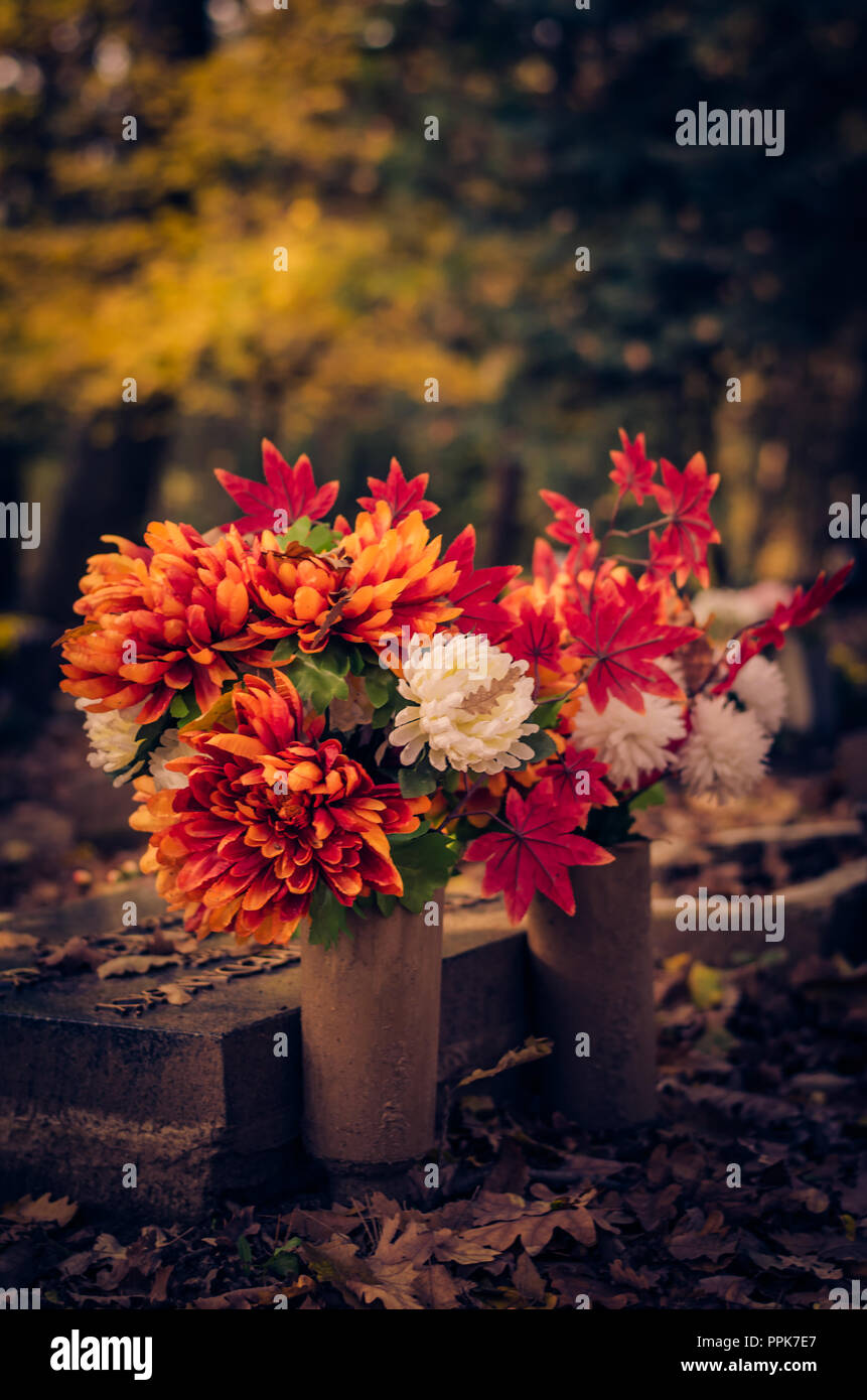 colorful flower decoration during All Saints Day at the cemetery Stock ...