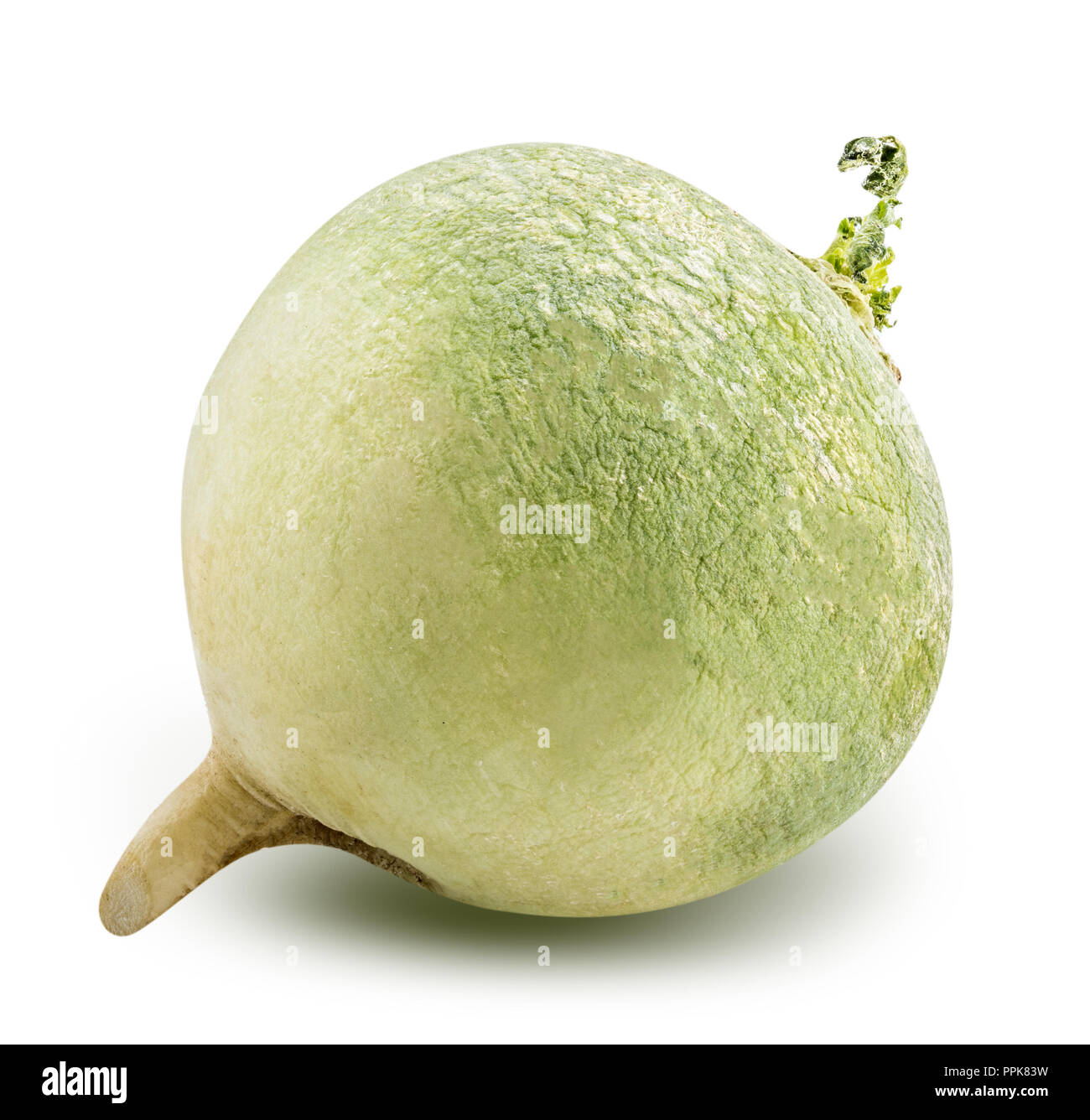 Green radish isolated on white background Stock Photo - Alamy