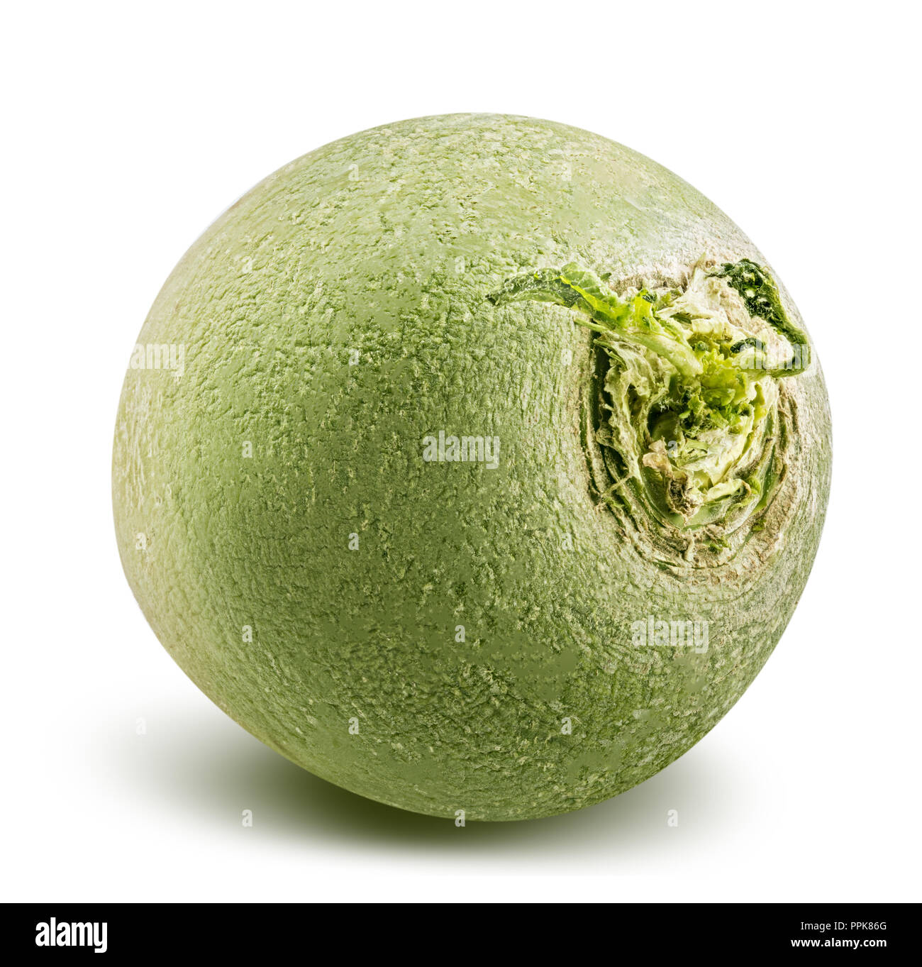 Green radish isolated on white background Stock Photo - Alamy