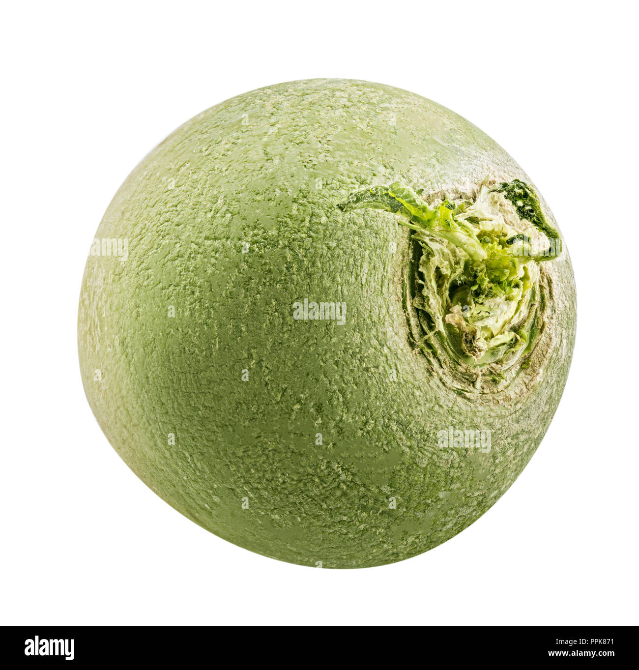 Green radish isolated on white background Stock Photo - Alamy