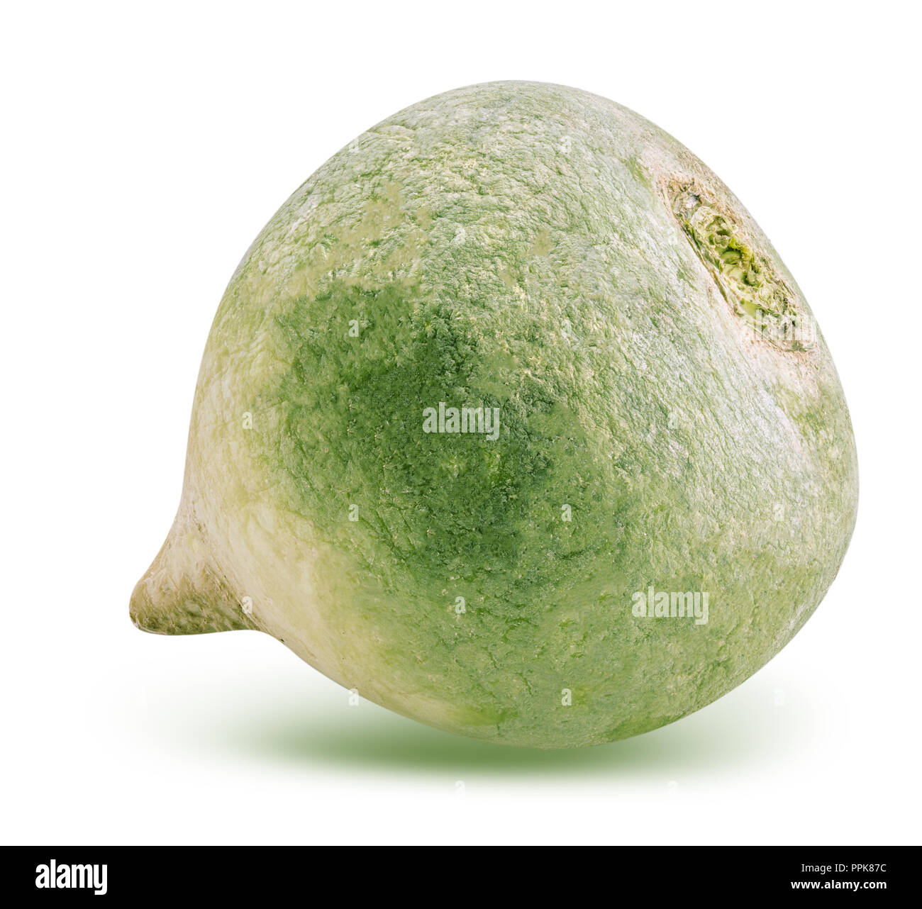 Green radish isolated on white background Stock Photo - Alamy