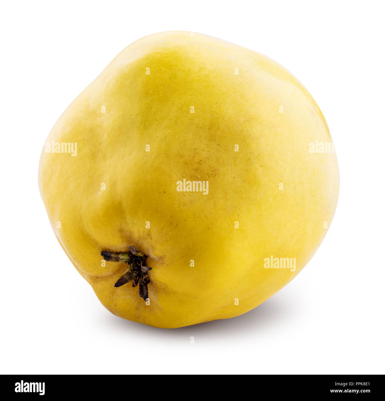 Fresh quince isolated on white background with shadow. Clipping path ...