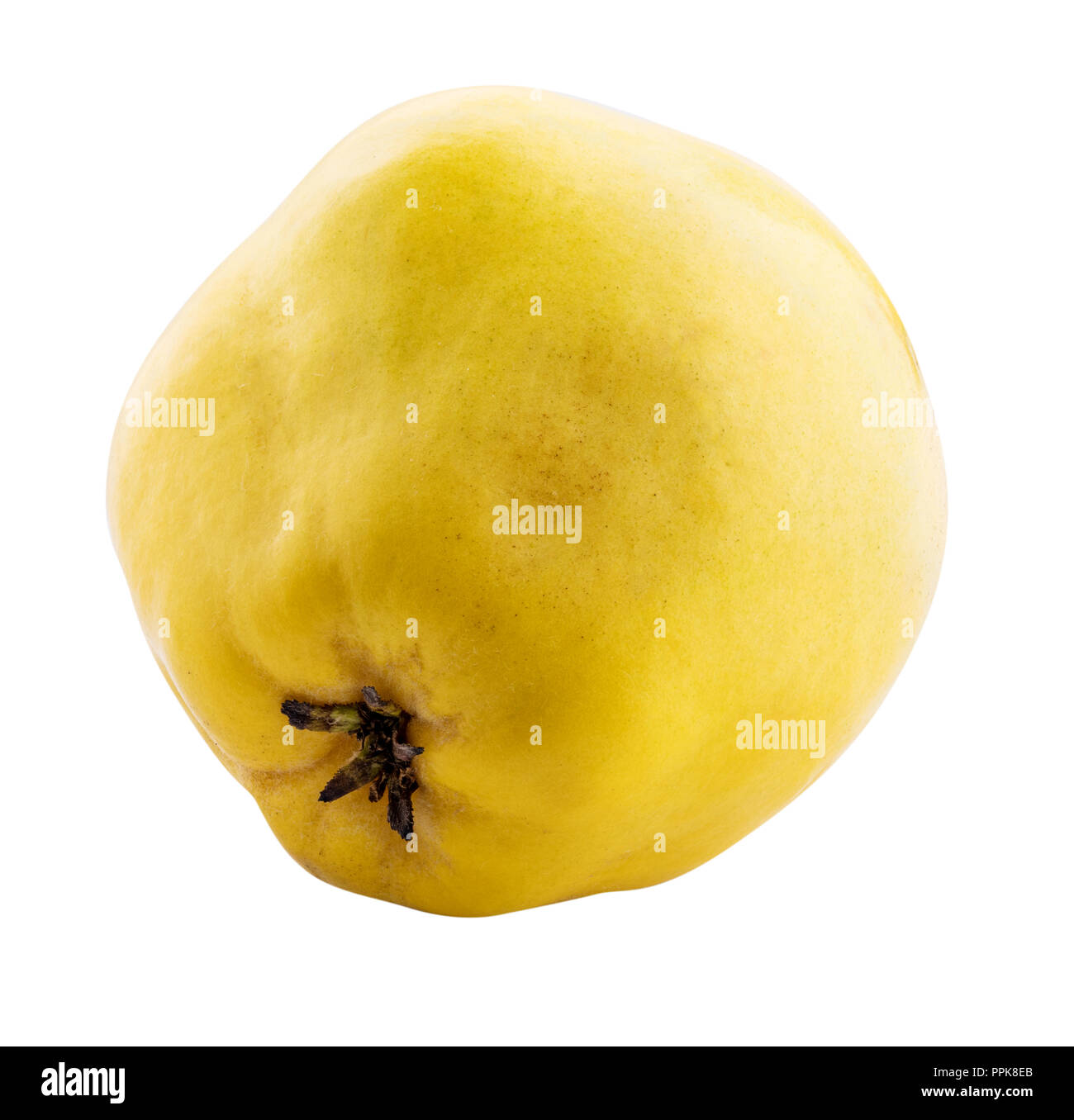 Fresh quince isolated on white background with shadow. Clipping path ...