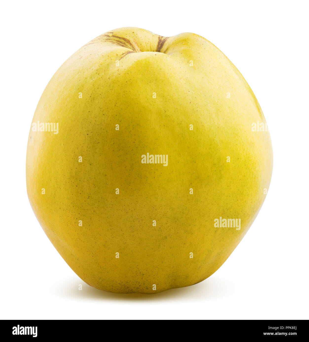 Fresh quince isolated on white background with shadow. Clipping path ...