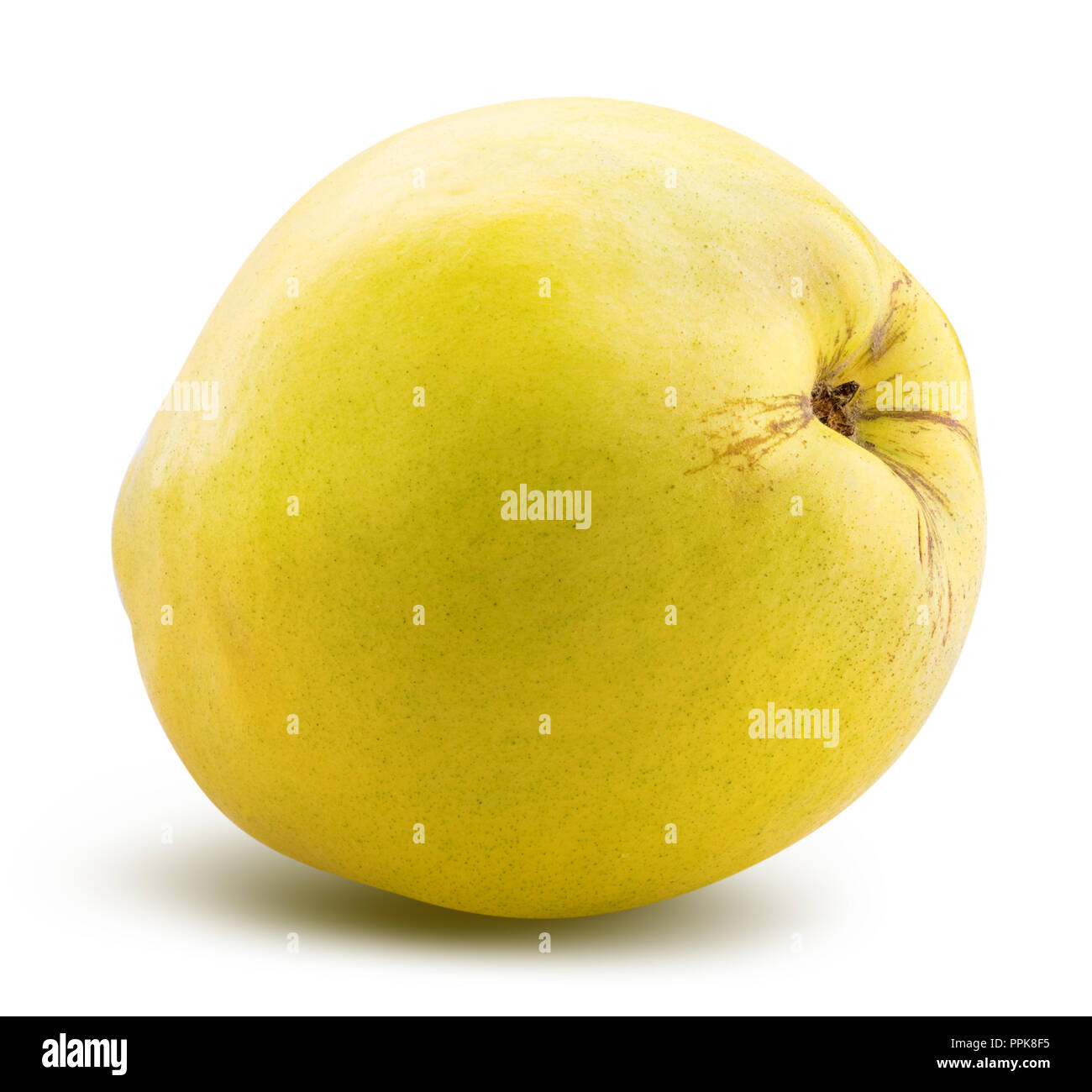 Fresh quince isolated on white background with shadow. Clipping path ...