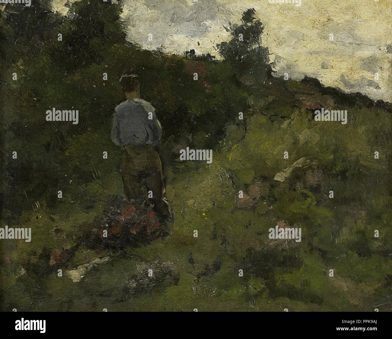 Bosrand hi-res stock photography and images - Alamy