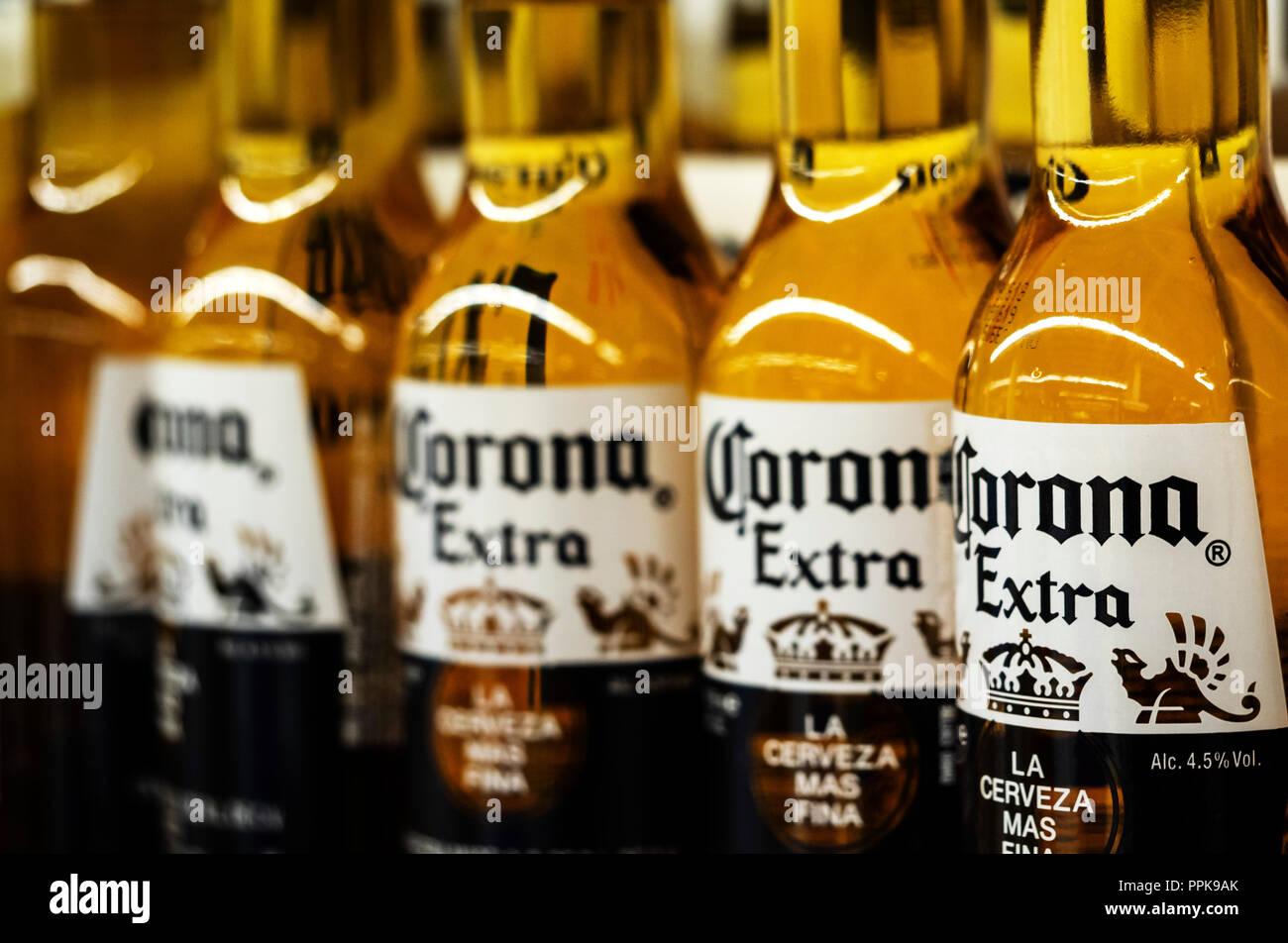 Detail of lined up Corona beer bottles on store shelf. Corona extra ...