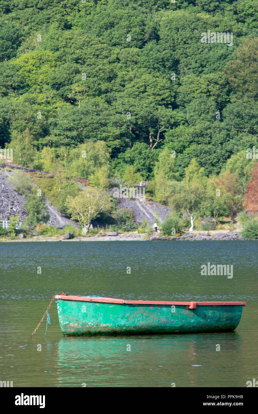 Green rowing boat on water hi-res stock photography and images - Alamy