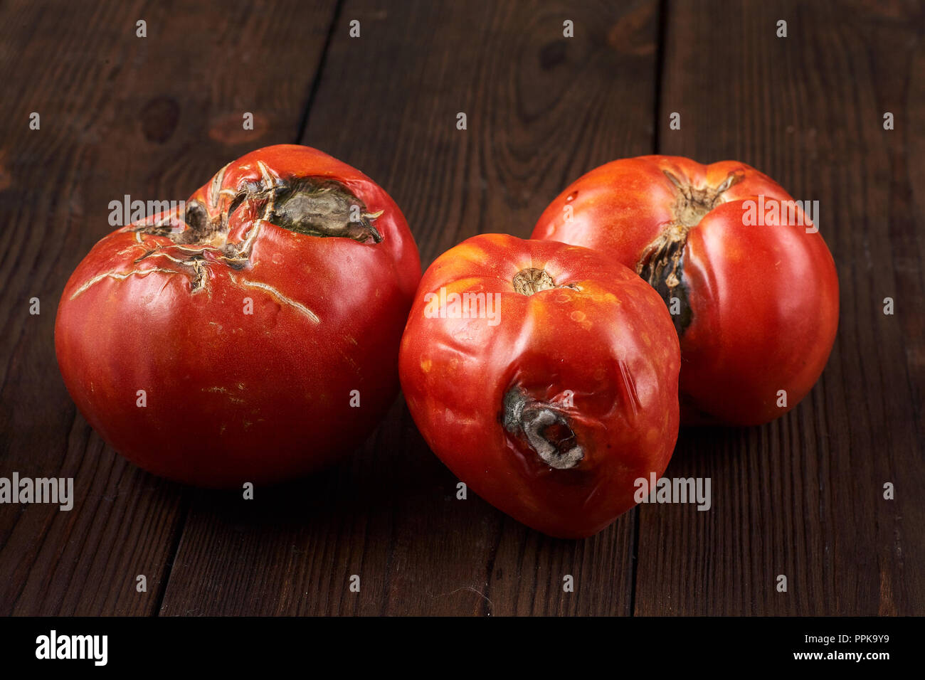 Splattered tomatoes hi-res stock photography and images - Alamy
