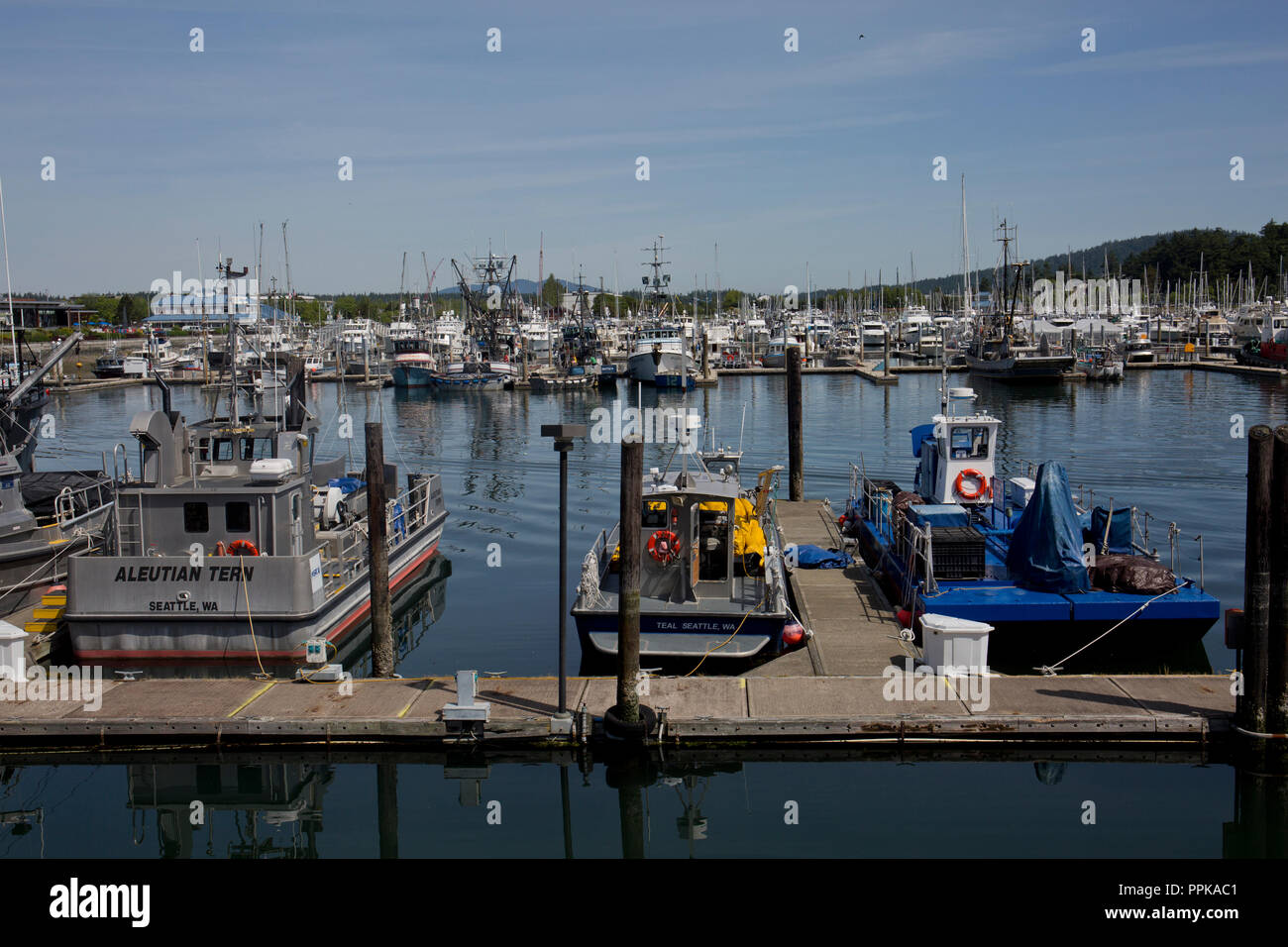Anacortes Harbour, Washington State, USA Stock Photo - Alamy