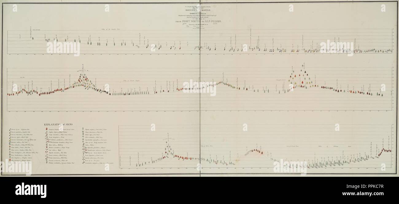 Botanical profile representing the forest trees along the route ...