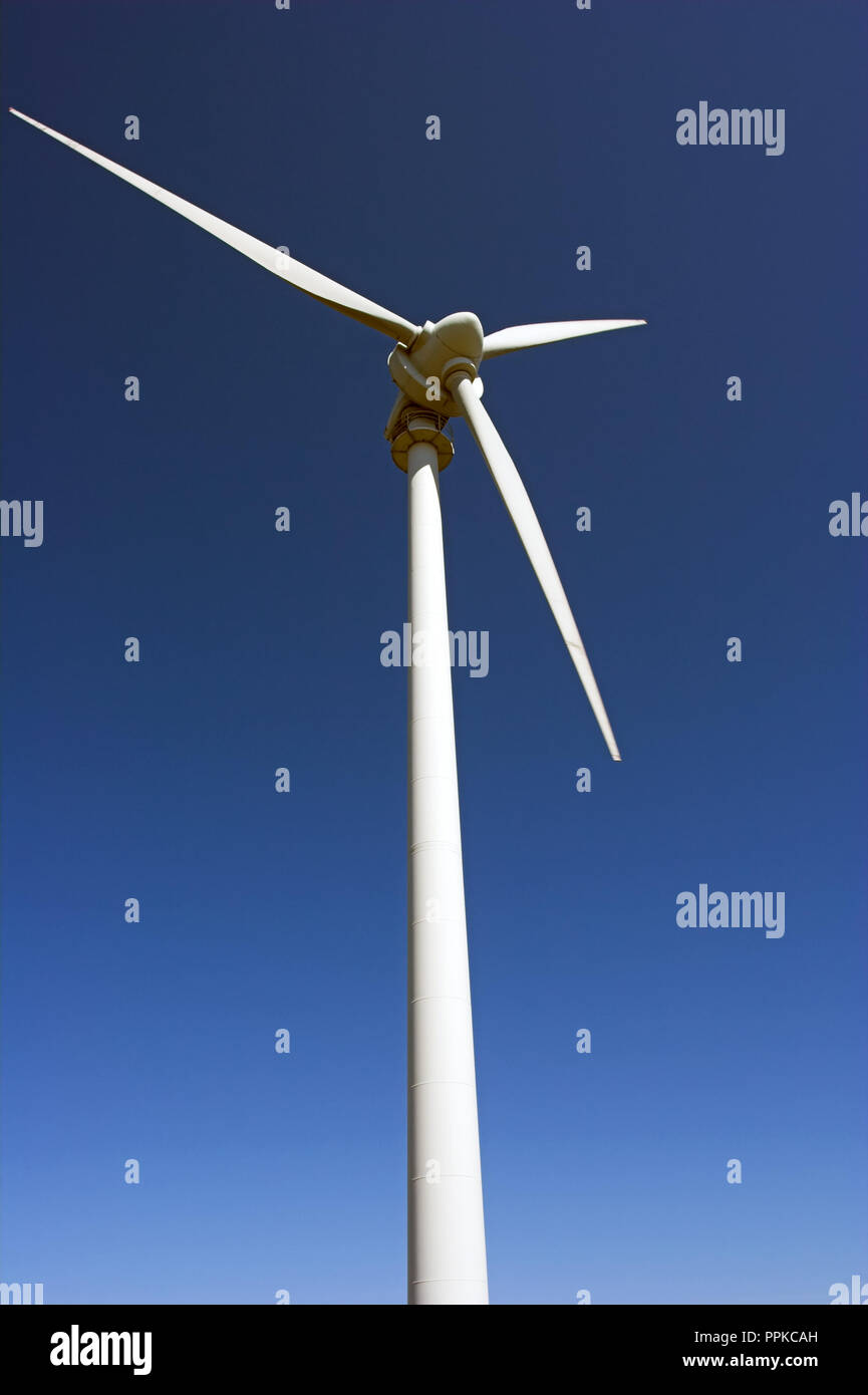 Blue fan wings hi-res stock photography and images - Alamy