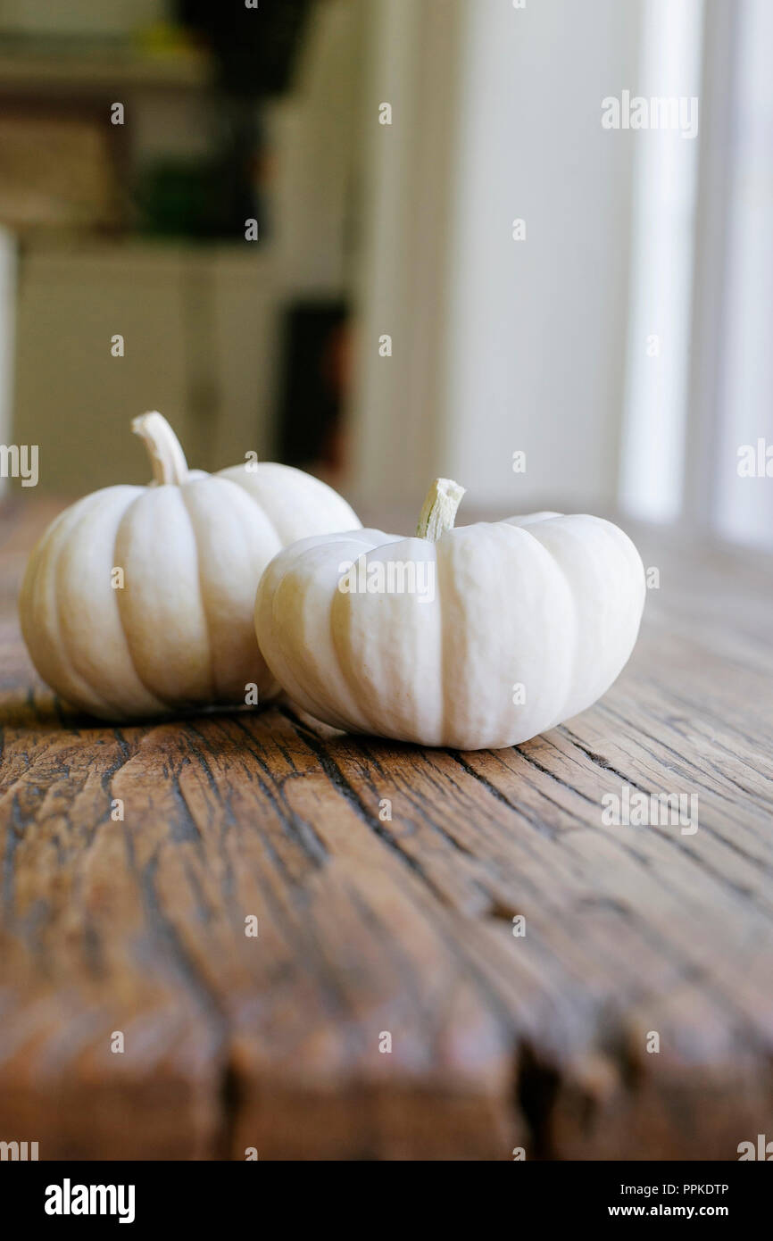 Small mini white pumpkins on a wood table Stock Photo - Alamy