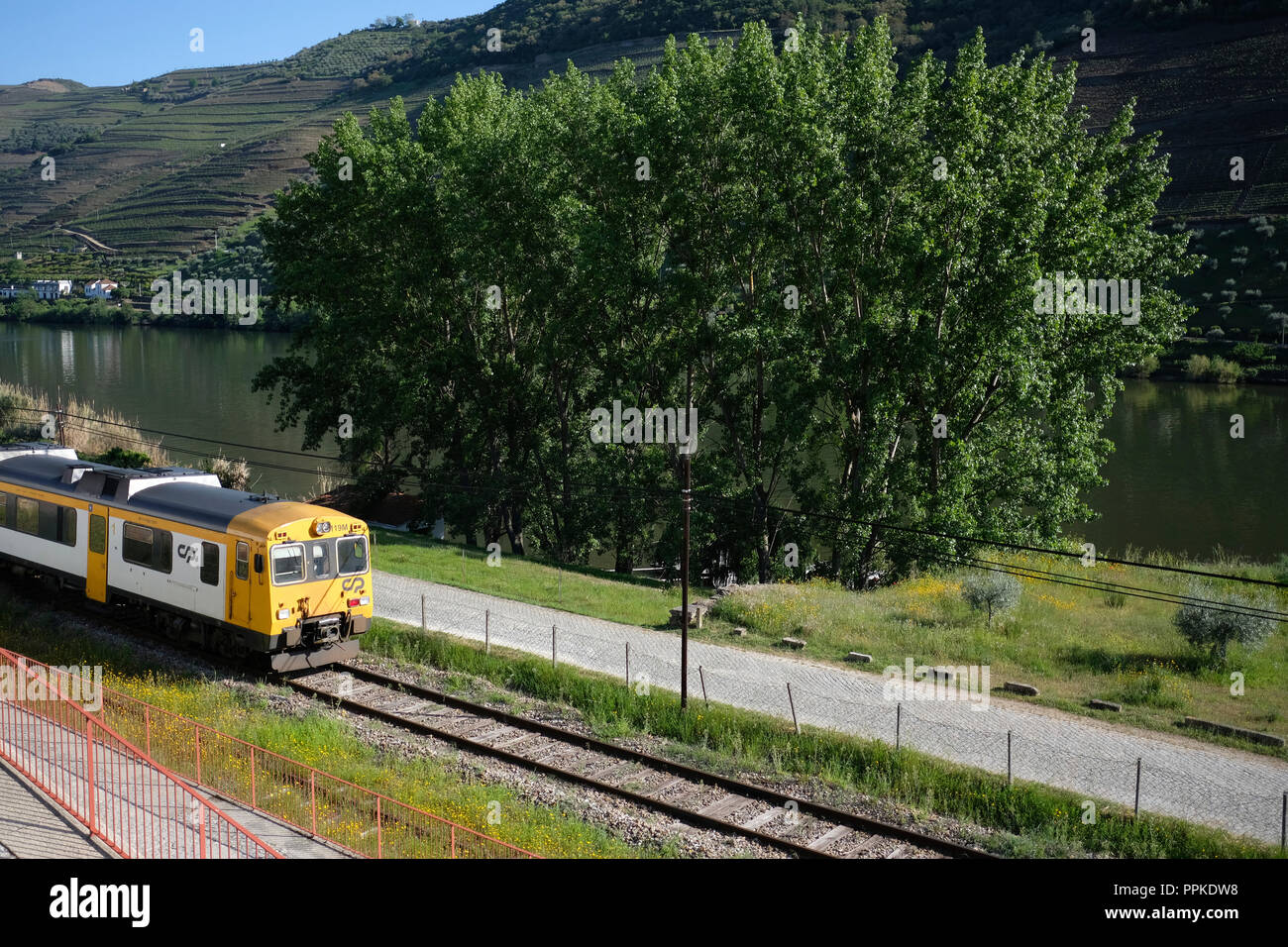 Train that goes along the Douro river Stock Photo - Alamy