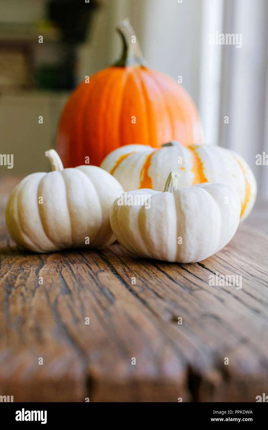 Fall scene, pumpkins hi-res stock photography and images - Alamy