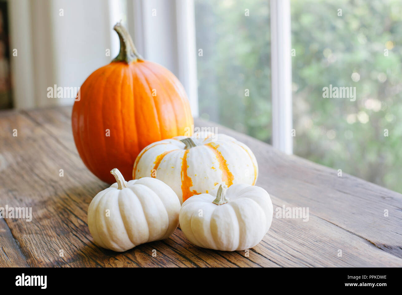 Mini gourd hi-res stock photography and images - Alamy