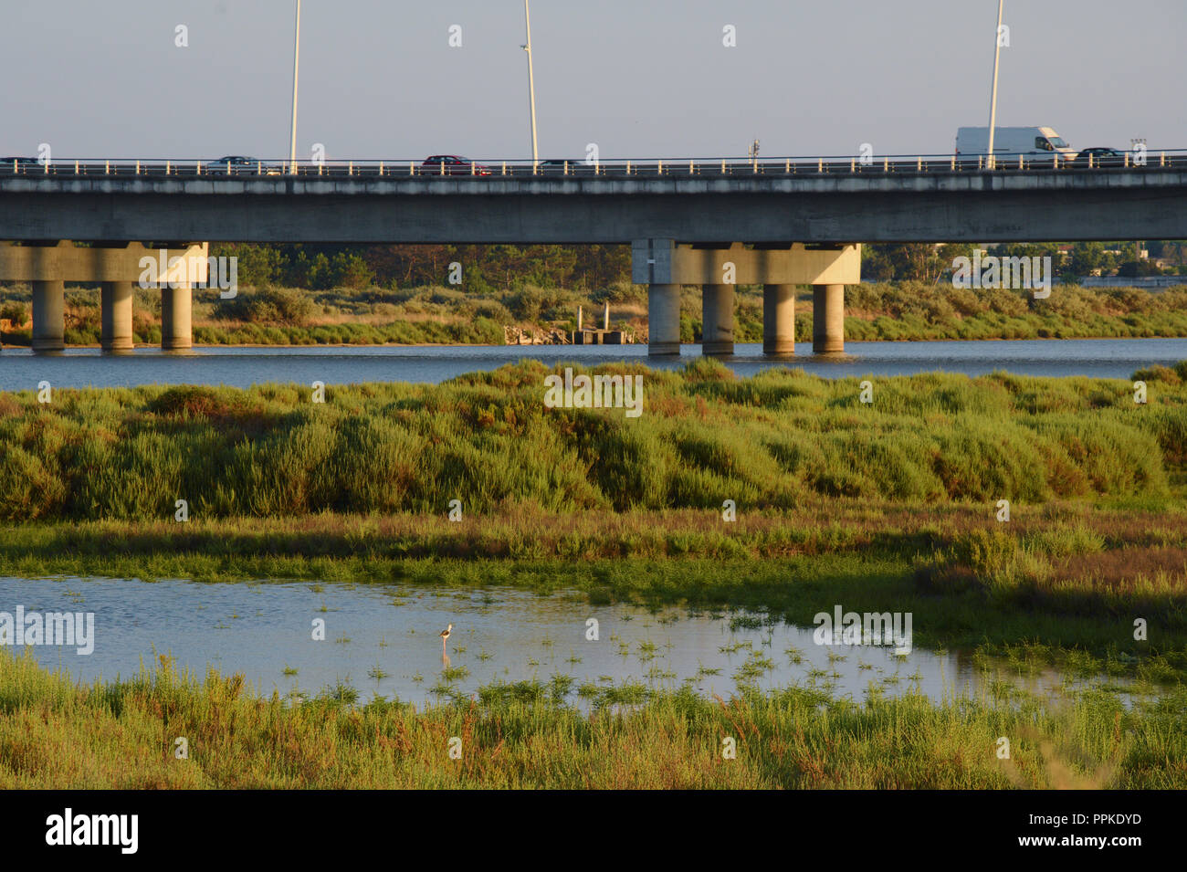 Highway passing through the protected wildlife at the Tagus Estuary ...