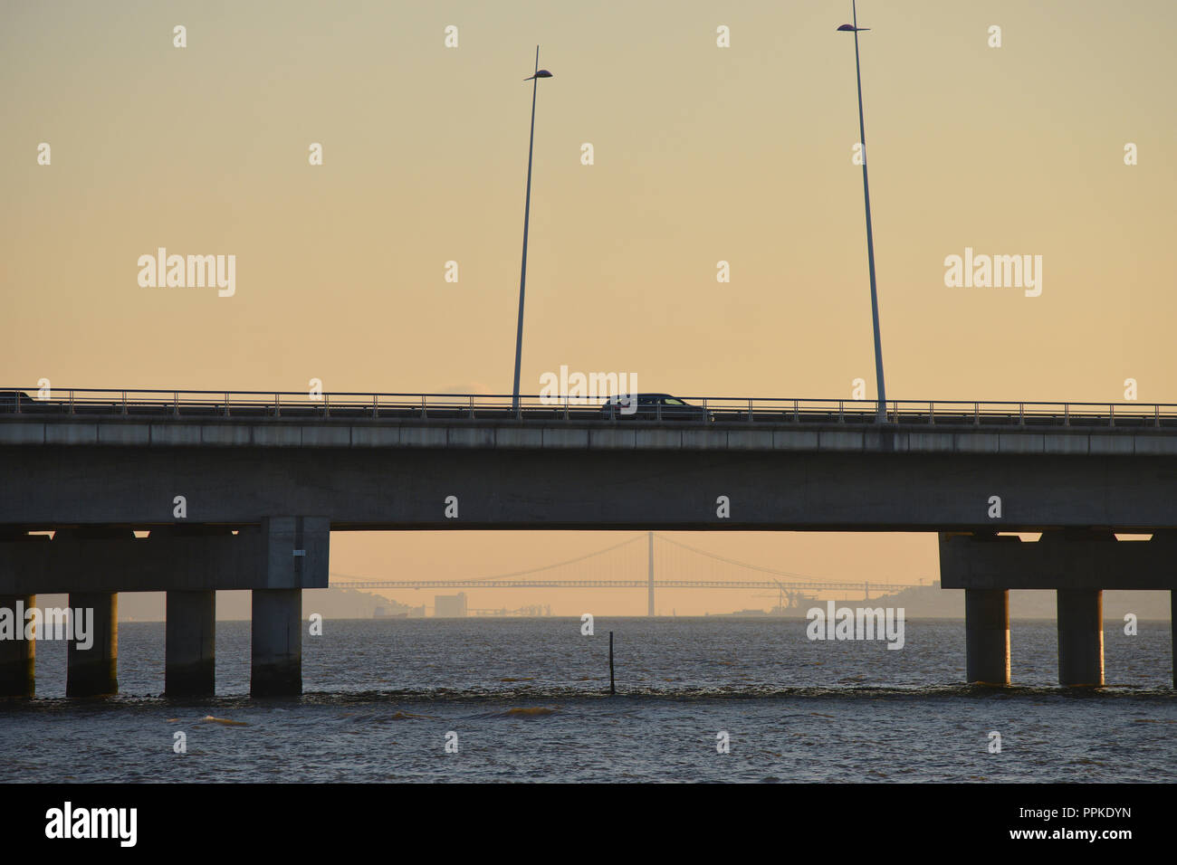 Highway wildlife viaduct hi-res stock photography and images - Alamy