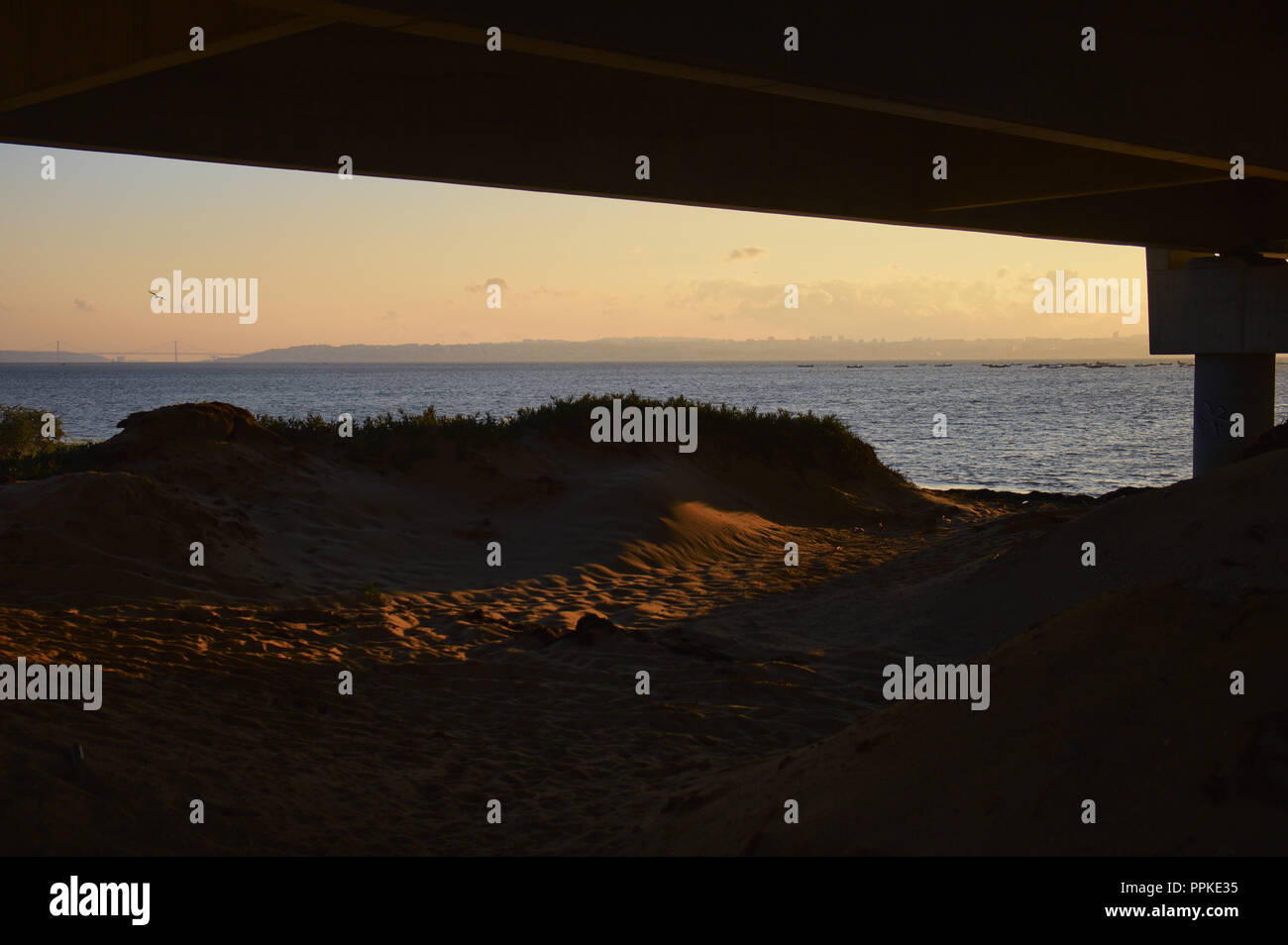 Highway wildlife viaduct hi-res stock photography and images - Alamy