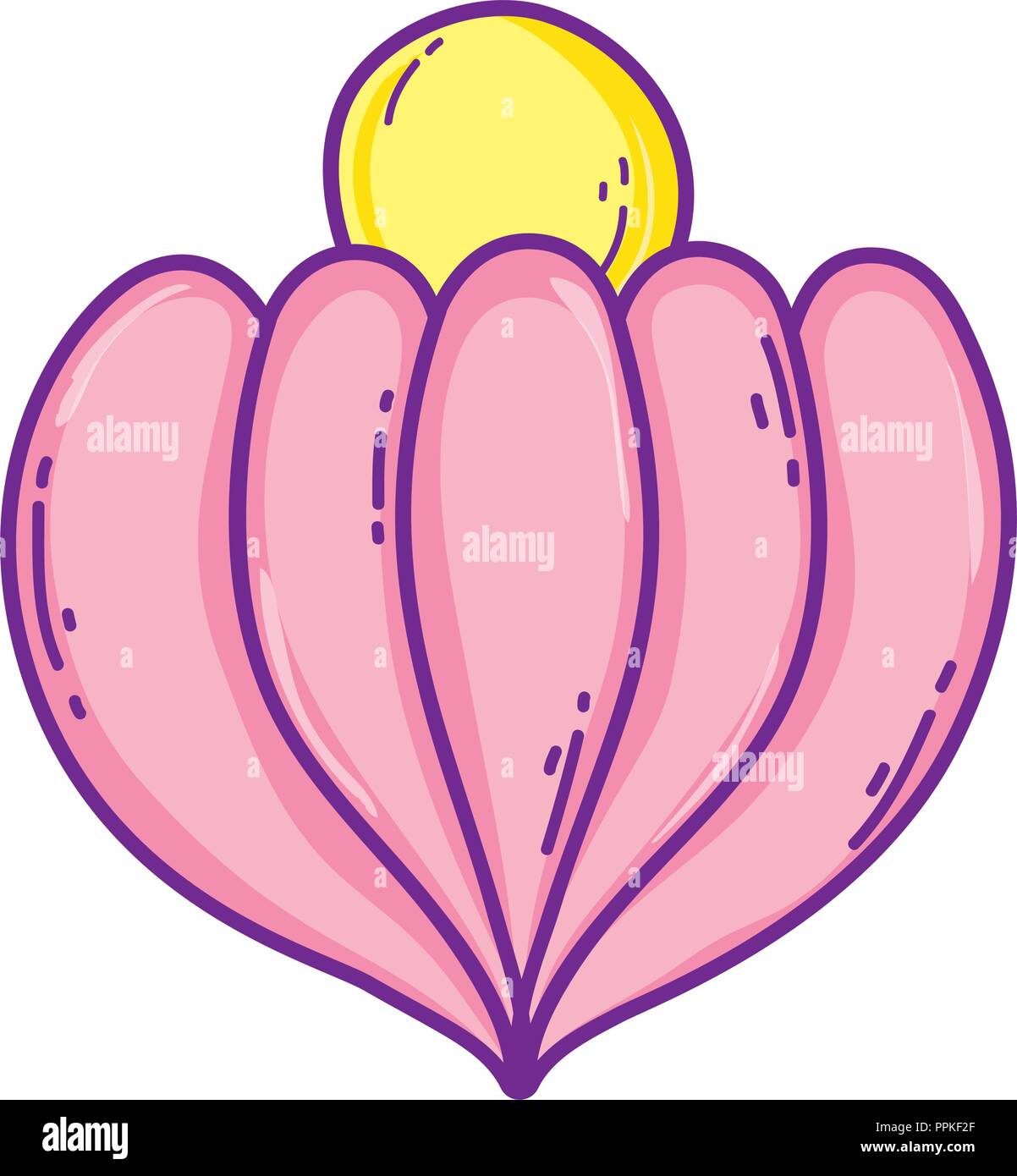 Shell cartoon isolated Stock Vector Image & Art - Alamy