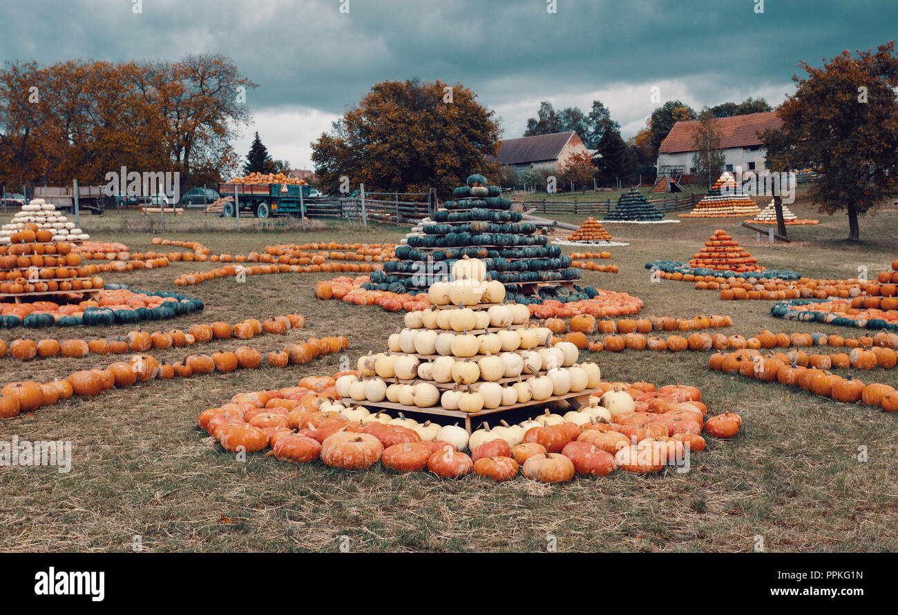 pyramid from autumn harvested pumpkins arranged for fun with color ...