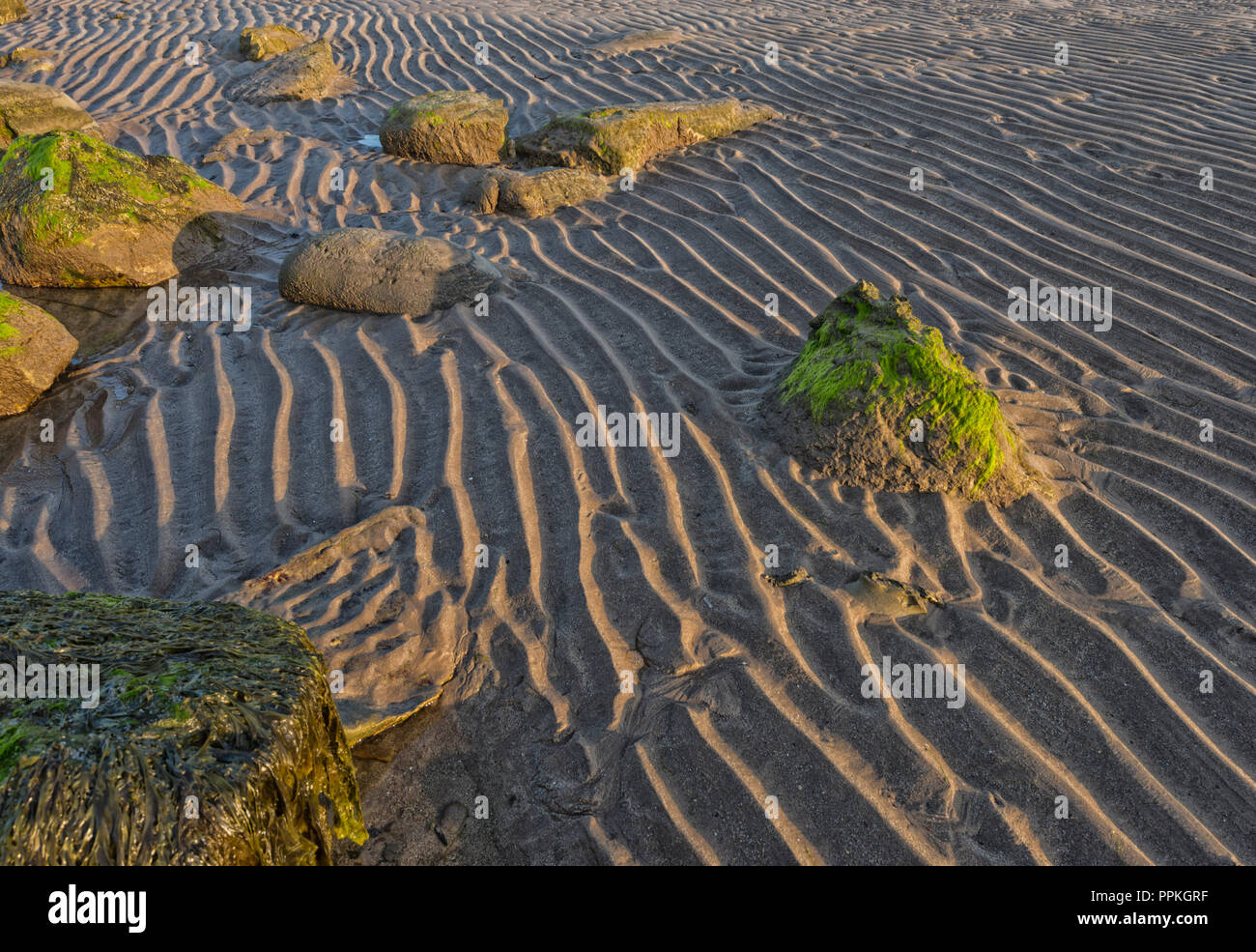 Ripples in the sand Stock Photo - Alamy