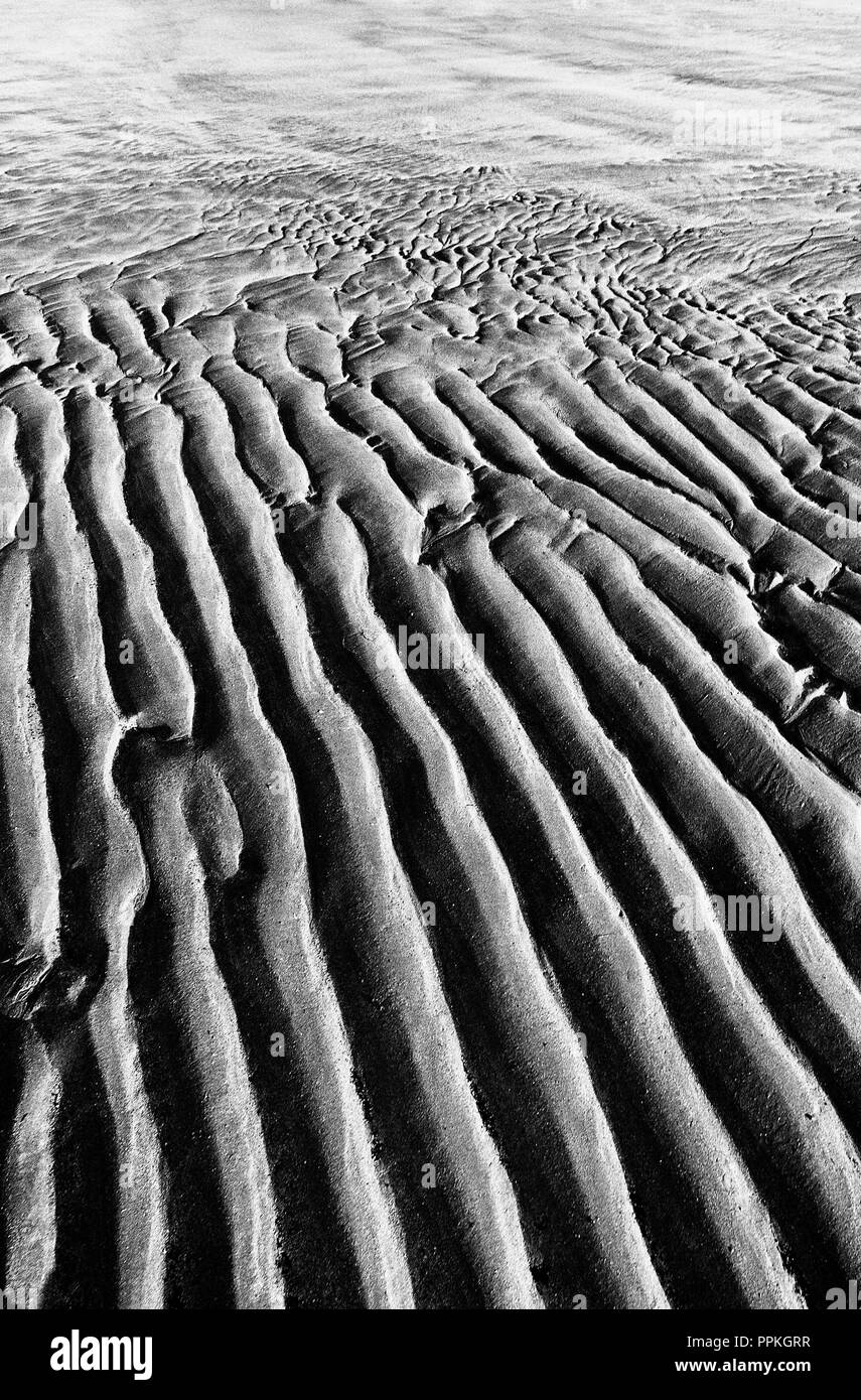 Beachscape in black and white hi-res stock photography and images - Alamy