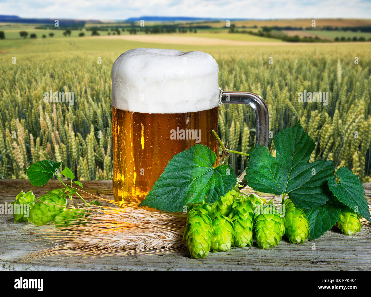 Beer glass and raw material for beer production Stock Photo - Alamy