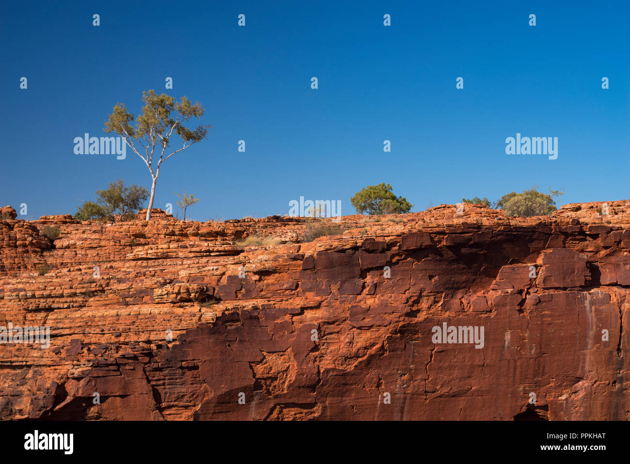 Rim walk and cliff, Kings Canyon, Watarrka, National Park , Australia ...
