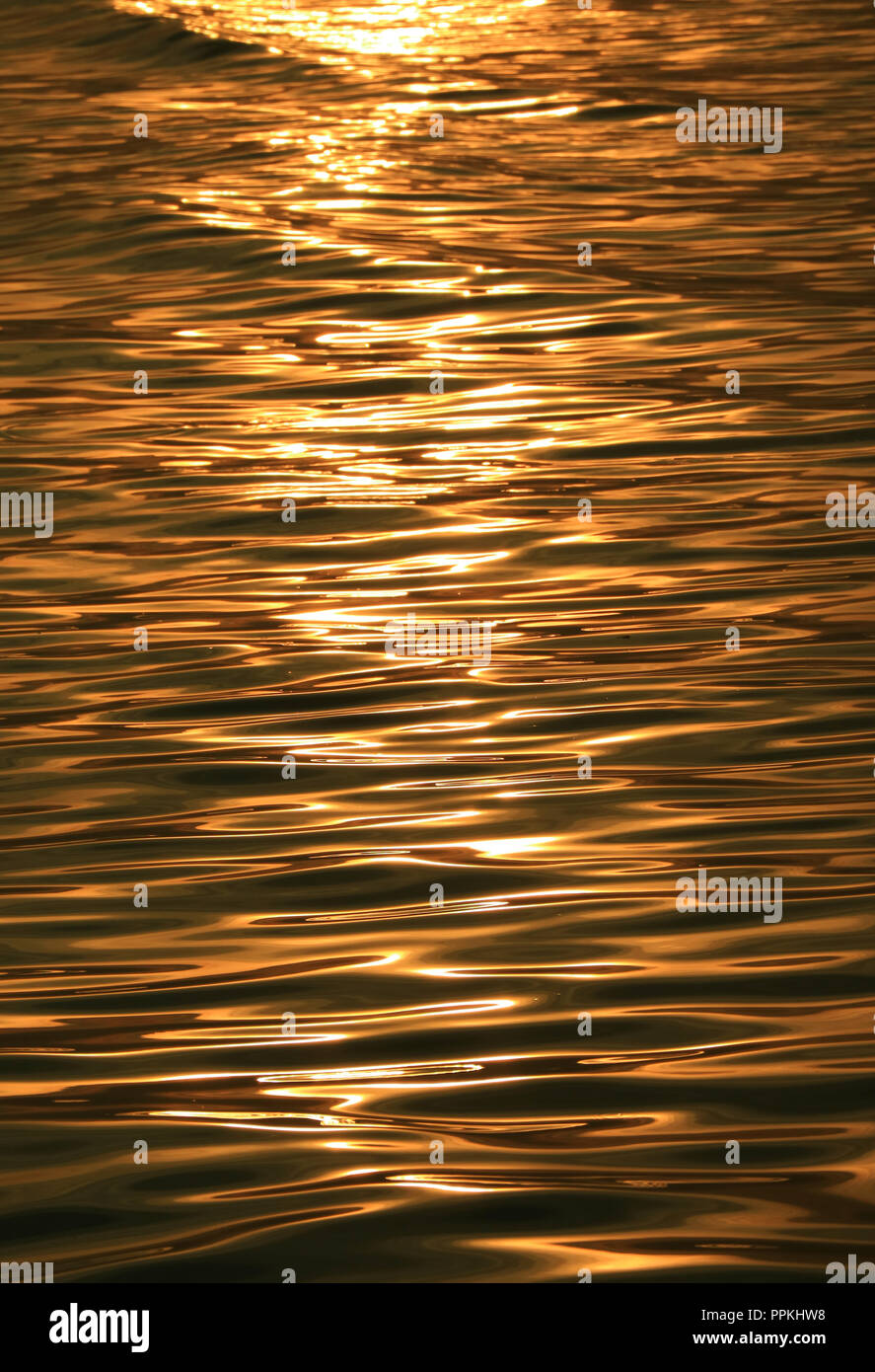 Gorgeous gold color sea water surface with the gentle waves glittering ...