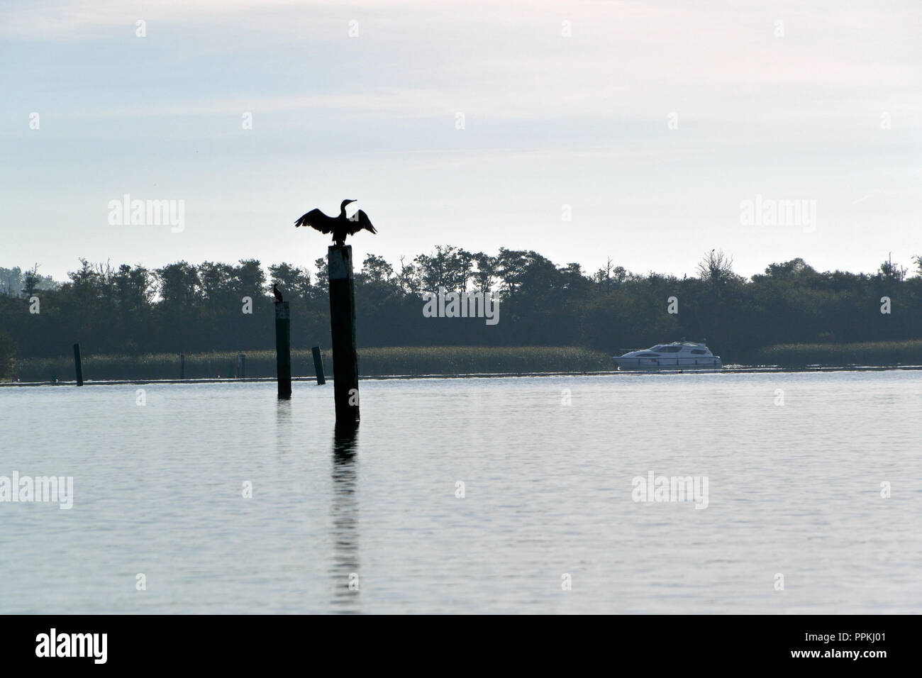 Spread by pleasure boats hi-res stock photography and images - Alamy