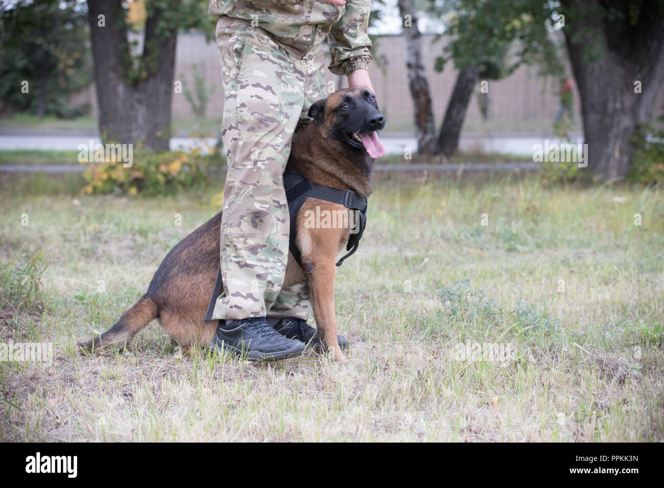 Dog between legs hi-res stock photography and images - Alamy