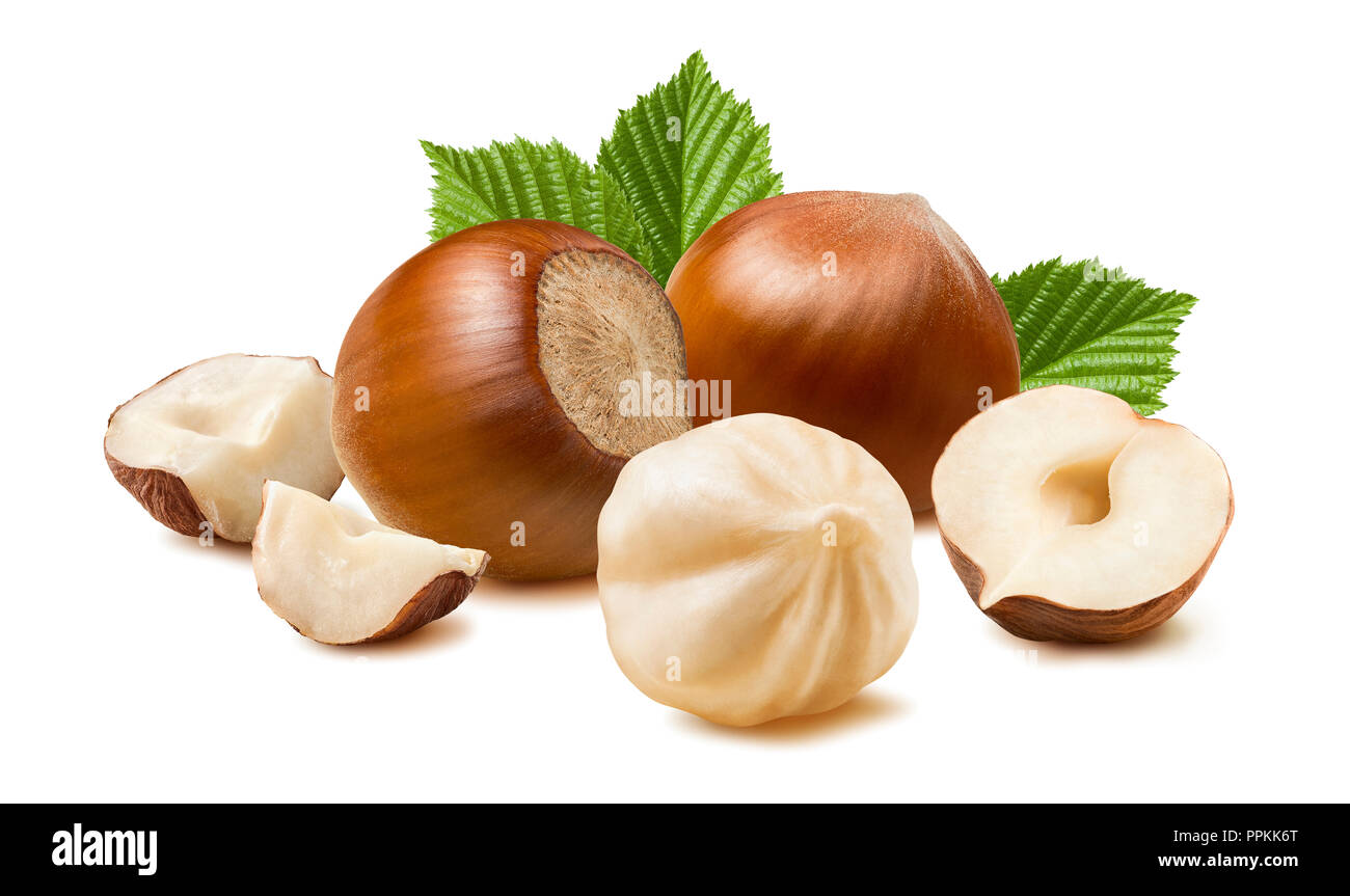 Hazelnut or cob nut hi-res stock photography and images - Alamy