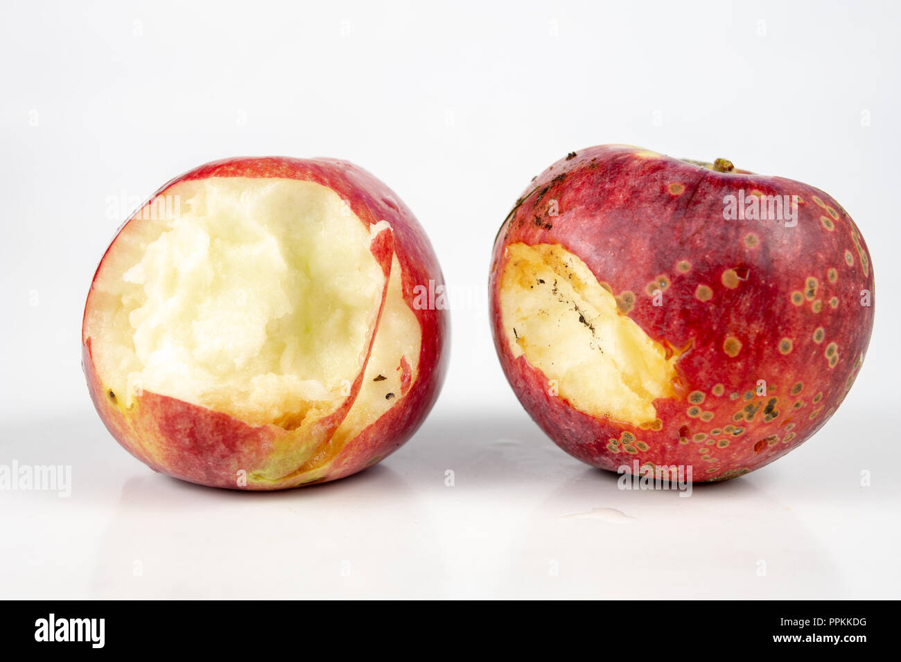 Nibbled apple on a white kitchen table. Fruit brought straight from the ...