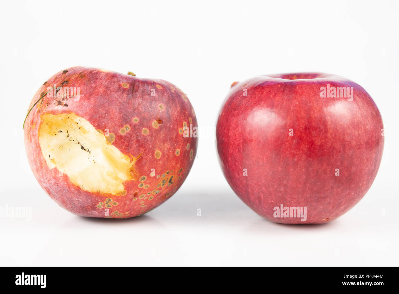 Nibbled Cut Out Stock Images & Pictures - Alamy