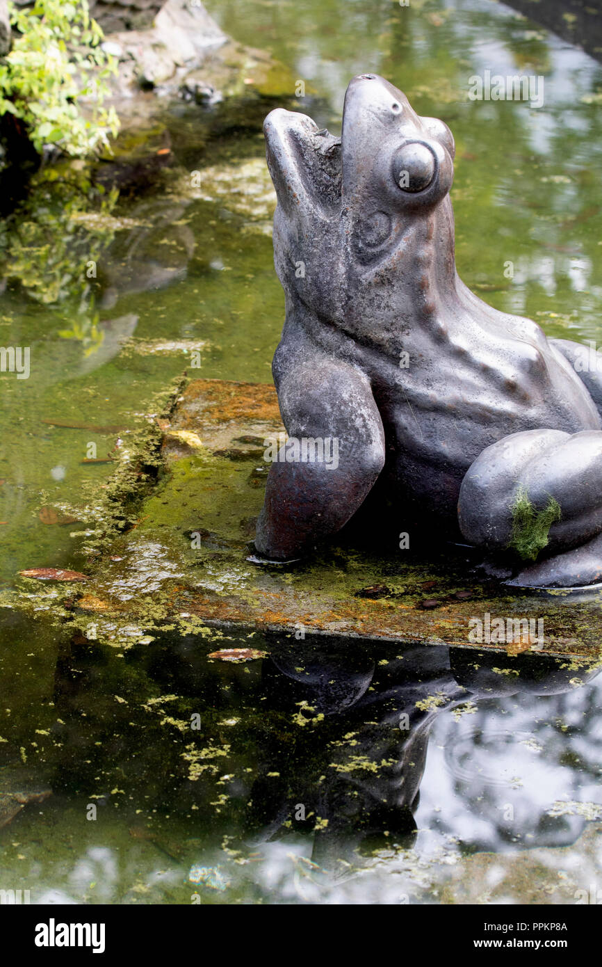 Frog statue in a fountain with reflections in water Stock Photo - Alamy
