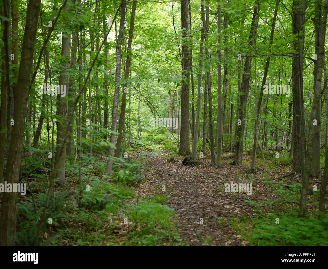 Springtime hiking hi-res stock photography and images - Alamy