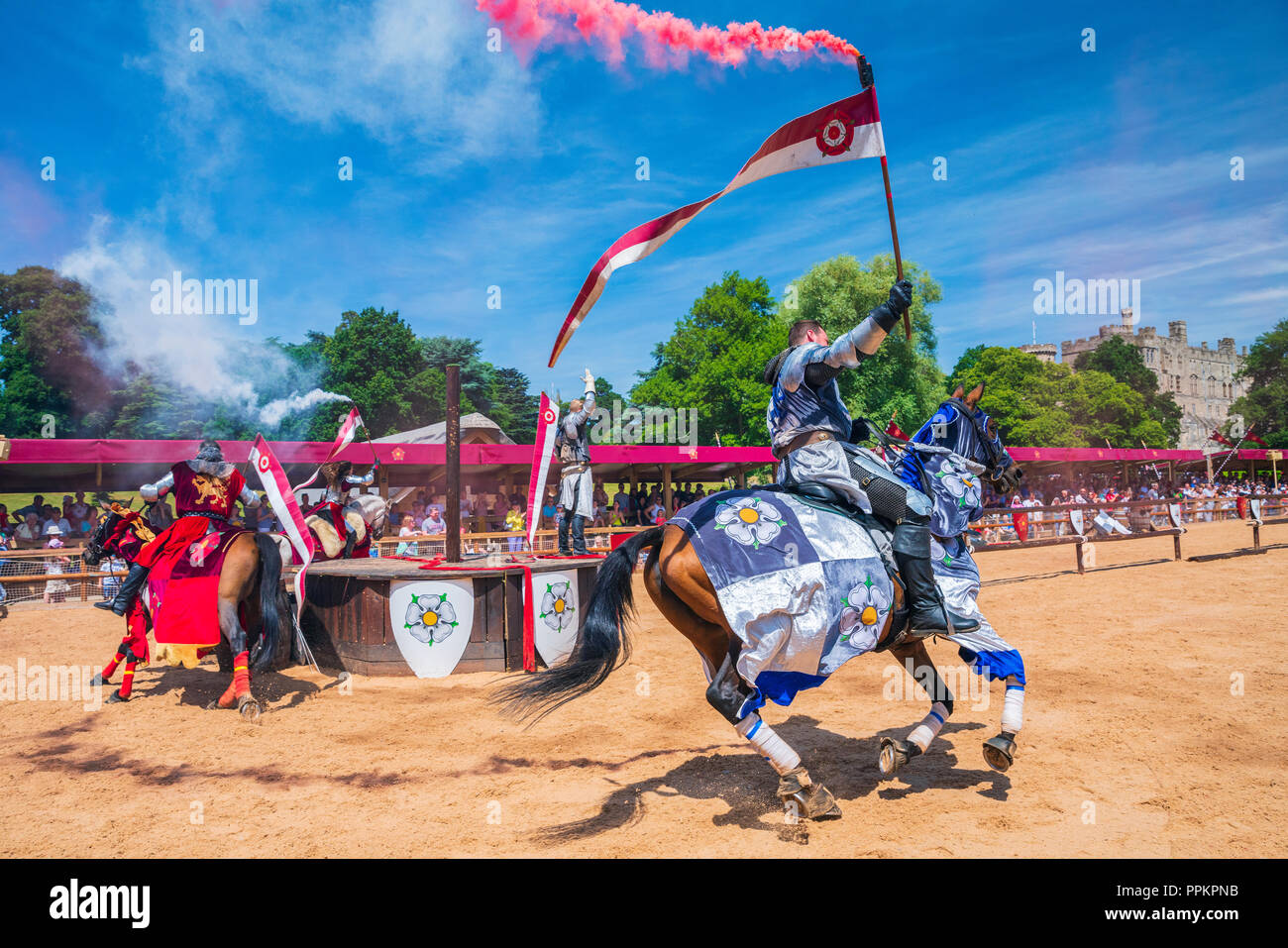 Great roses hi-res stock photography and images - Alamy