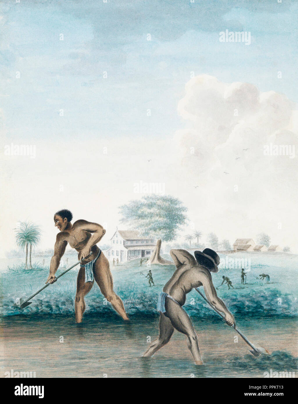 Slaves at work digging a drainage canal in Paramaribo, Suriname circa ...