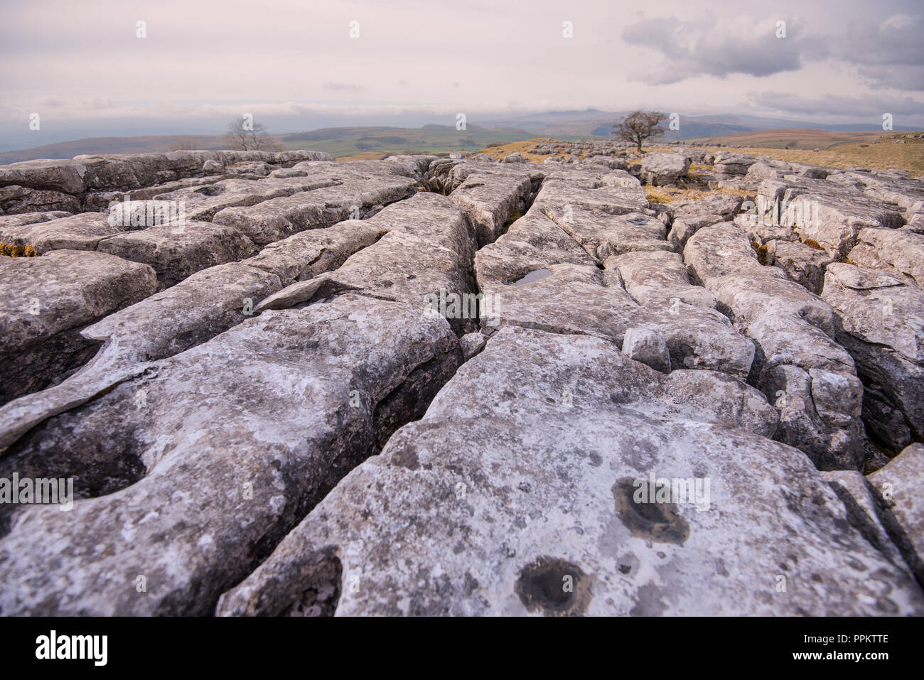Limestone Pavement North Yorkshire Stock Photo - Alamy