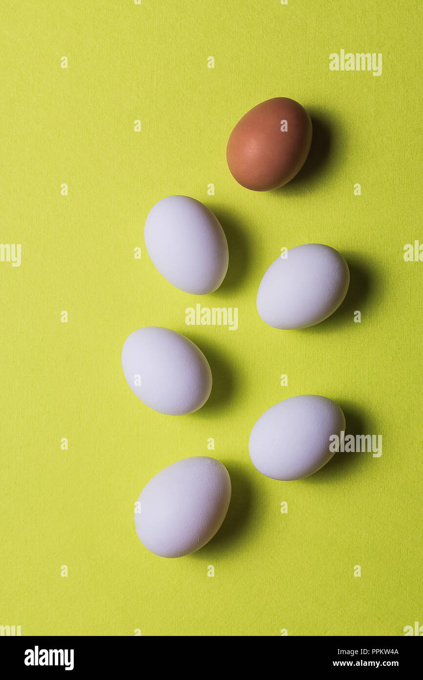 Minimalism style. Flat lay layout egg pattern on colored pastel ...