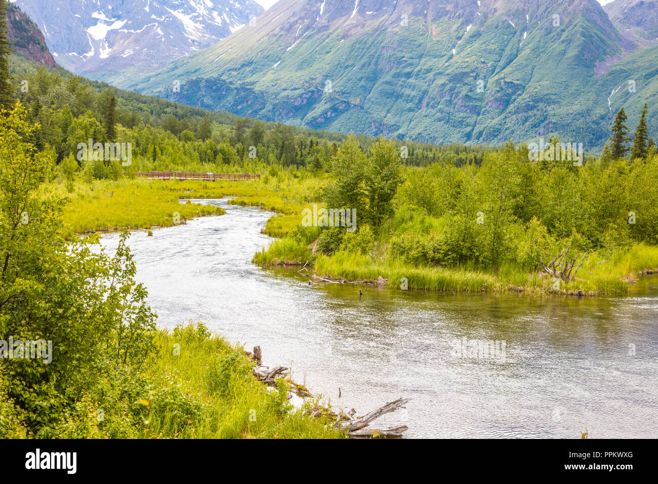 View of freash water spring fed creek in the Eagle River Nature Center ...