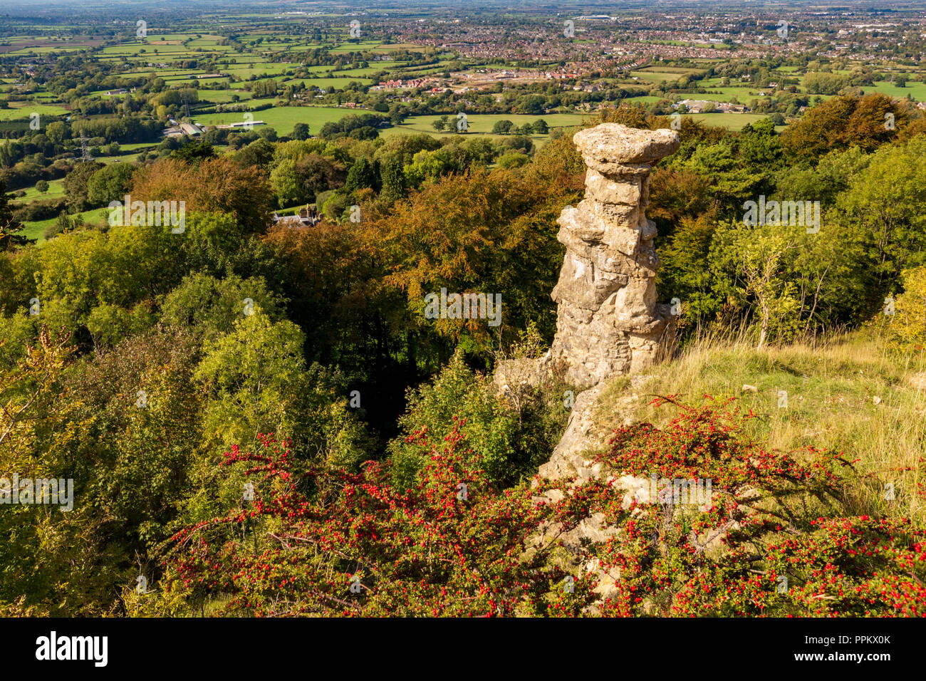 Red autumn berries and the Devil's Chimney on Leckhampton Hill ...